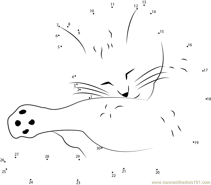 Cat sweet dot to dot printable worksheet - Connect The Dots