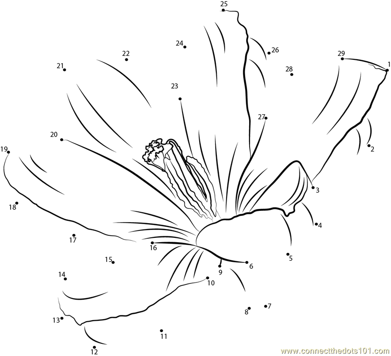 Crocus Flower dot to dot printable worksheet - Connect The Dots