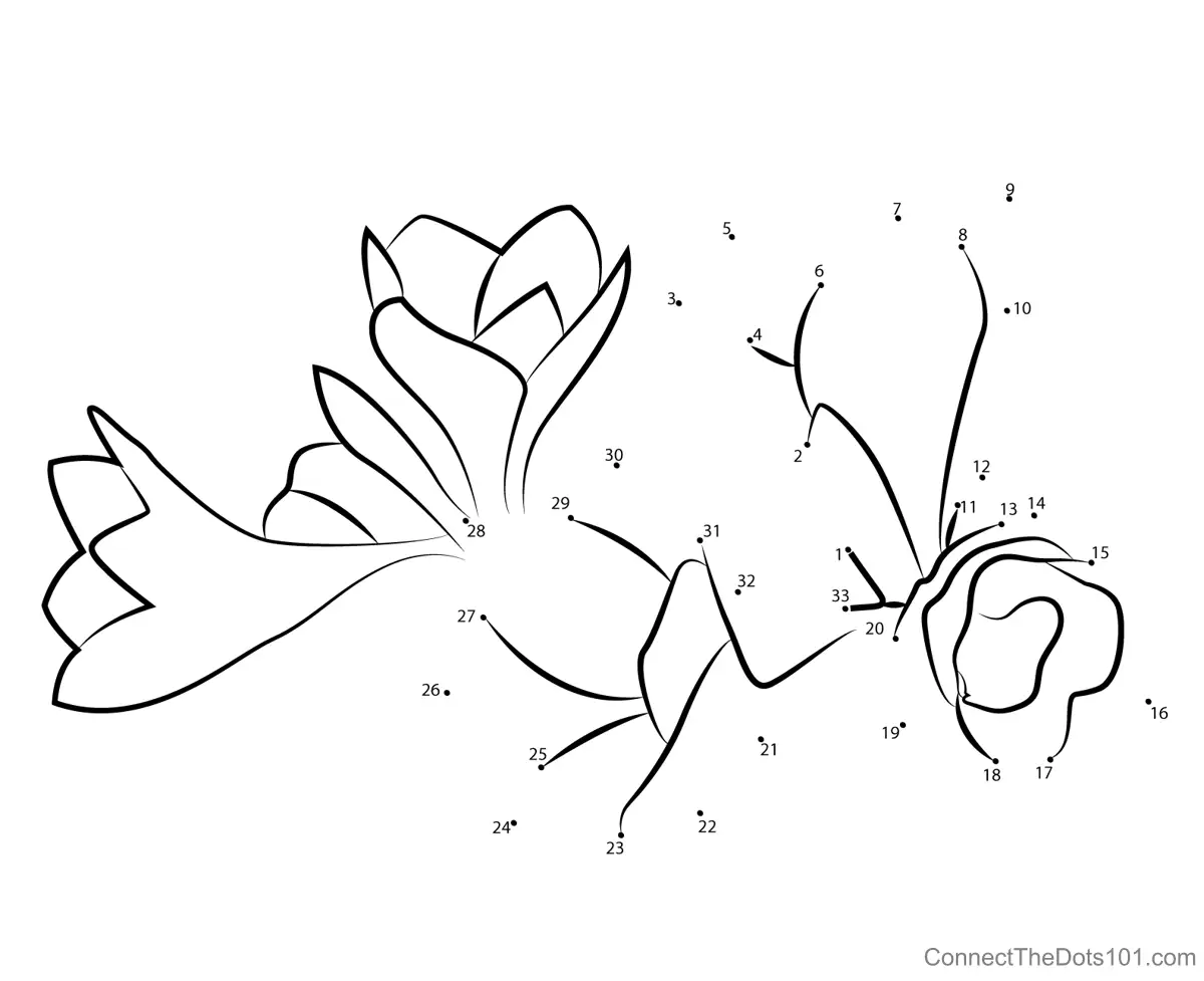Amaryllis Bloom Sequence dot to dot printable worksheet - Connect The Dots