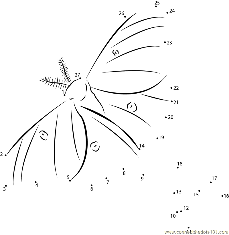 Green Moth dot to dot printable worksheet - Connect The Dots