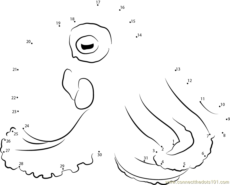 Octopus Marginatus dot to dot printable worksheet - Connect The Dots