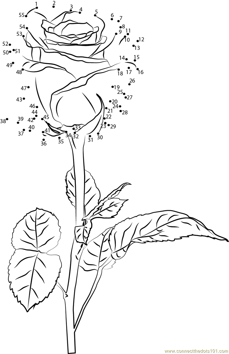 Rose dot to dot printable worksheet - Connect The Dots