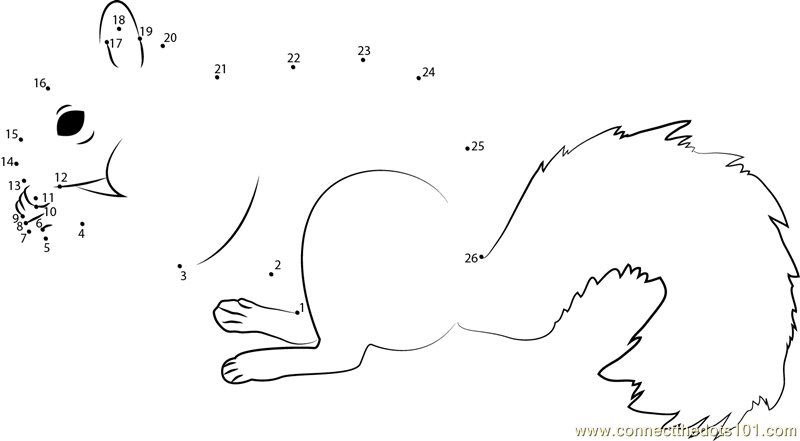 Grey Squirrel dot to dot printable worksheet - Connect The Dots