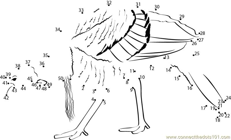 Turkey dot to dot printable worksheet - Connect The Dots