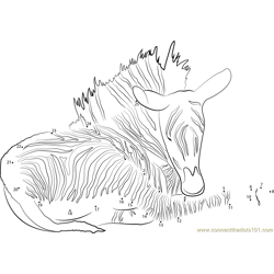 Zebra Connect the Dots Worksheets Printable for Kids